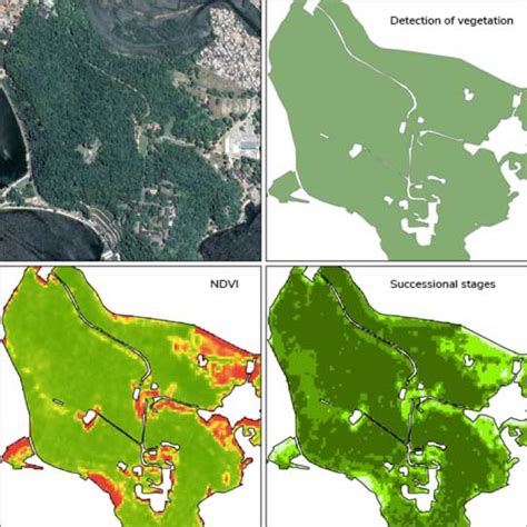 Remote Sensing For Monitoring Vegetation
