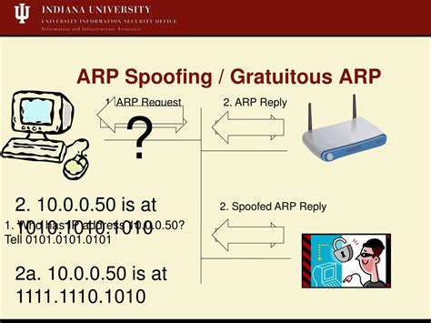 Images Of Gratuitous Arp Japaneseclass Jp