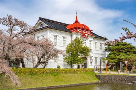 鶴岡桜まつり【鶴岡公園】2025年4月8日開花！｜イベント｜やまがた庄内観光サイト 山形県庄内エリアの観光・旅行情報