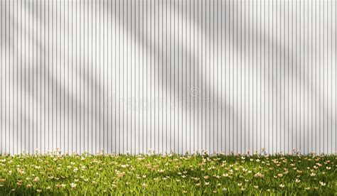 3d Rendering Grass Field With White Wood Planks Wall Background Stock
