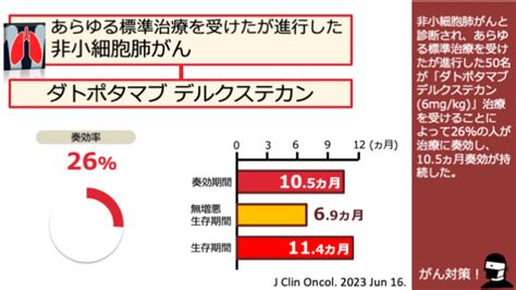 日本がん対策図鑑 【肺がん：三次治療】ダトロウェイ