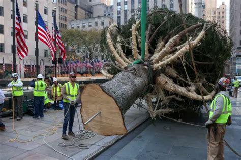 Коледа пристигна в Ню Йорк СНИМКИ ᐉ Новини от Fakti Bg Свят ФАКТИ БГ