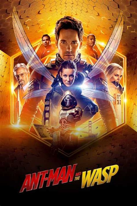 Ant Man And The Wasp 2018 Sevi The Poster Database Tpdb