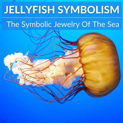 Jellyfish Symbolism Spiritual Meaning And Significance In Culture