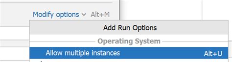 process is not allowed to run in parallel ides support intellij