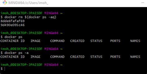Stopping Removing And Naming Docker Container Techdirectarchive