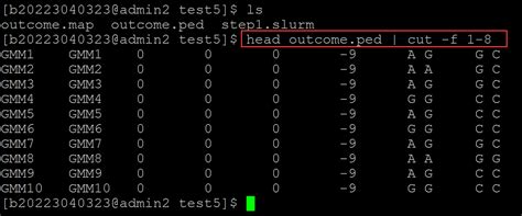 SNeP1 1 Segmentation fault core dumped 段错误 小鲨鱼2018 博客园