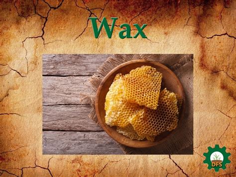 Second Life Marketplace Dfs Texture Wax