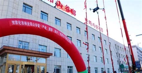 喜迎乔迁 盛启新章——敦化市林业局举办山谷留有限公司乔迁新址揭牌仪式腾讯新闻
