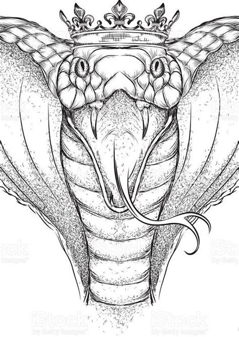 Ilan Snake Drawing Snake Art Tattoo Drawings Art Tattoo Art Drawings Kobra Tattoo King