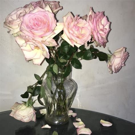 Colin Munroe Not Love Lyrics Genius Lyrics