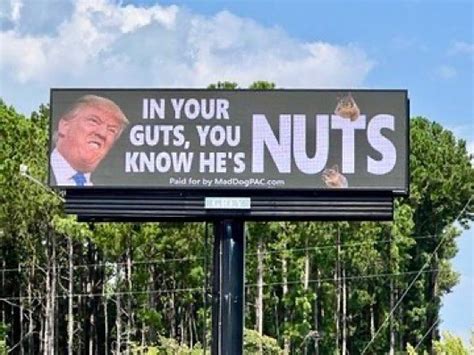 Hindsight In Your Guts You Know Hes Nuts