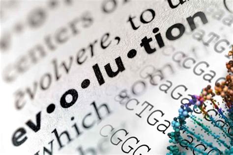 Evolution Predictable 1 Min Read