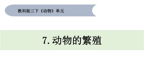 科学 教科版2017秋三年级科学下册2 7《动物的繁殖》课件共17张ppt 课件下载预览 二一课件通