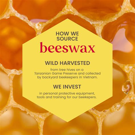 Beeswax And Honey Lip Balm Four Pack Burts Bees Uk