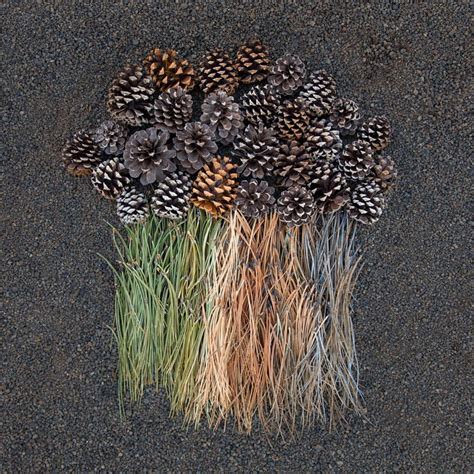 Satisfying Arrangements Of Everyday Objects By Emily Blincoe Bored Panda