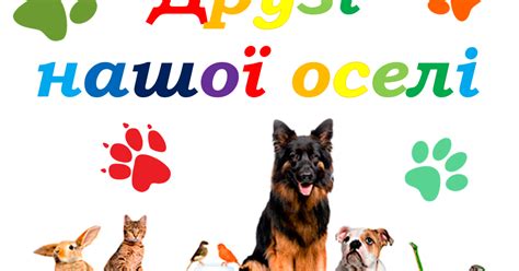 Всесвітній день домашніх тварин 😺🐶🐕🦮