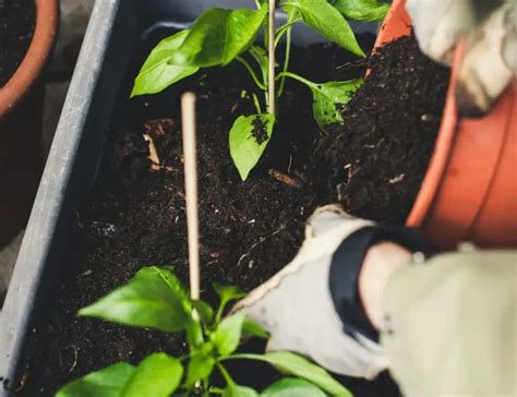 Benefits Of Composting Encouraging You To Start