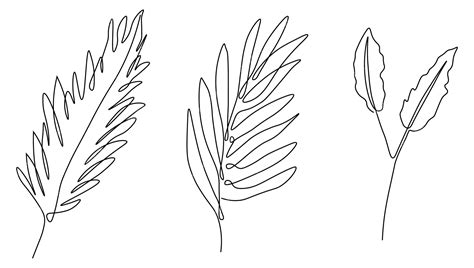 Une Ligne Continue De Plante Ensemble Dessin Au Trait Unique Art