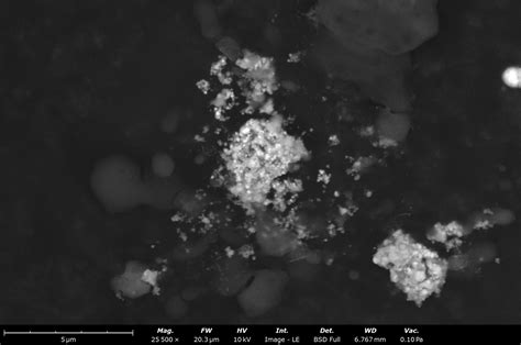 Automated Sem The Future Of Particle Analysis Nanoscience Instruments