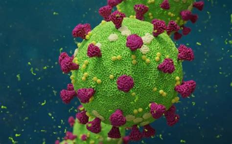 Covid 19 Sept Choses Que Lon Sait Aujourdhui Sur Le Virus Et La Maladie