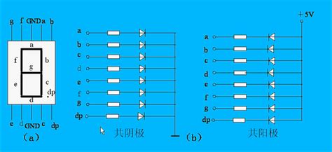 51单片机学习笔记【三】——数码管实验静态数码管实验报告 Csdn博客
