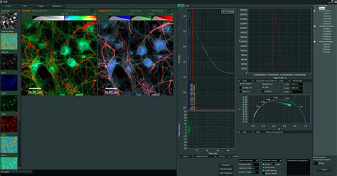 PicoQuant Single Photon Counting Confocal Microscope Luminosa
