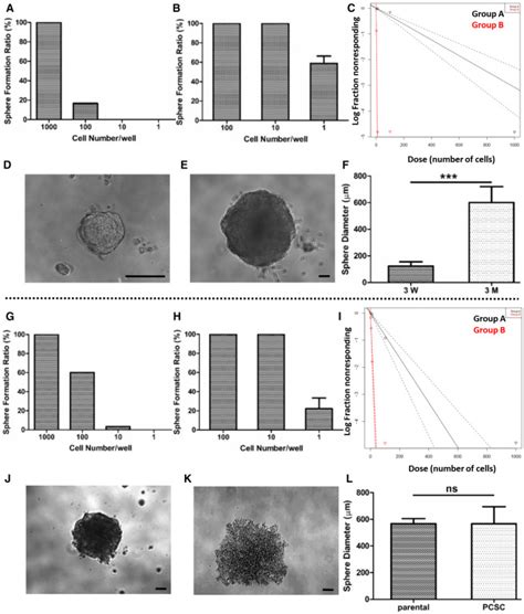 Oncolytic Herpes Simplex Virus And PI3K Inhibitor BKM120 Synergize To