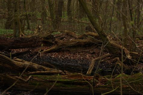 Elevation Of Blumenthal Bremen Germany Topographic Map Altitude Map