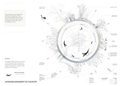 Royal Park Food Web Design