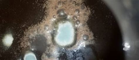 Beer Infection How To Recognize And Prevent Beer Infection How To Recognize And Prevent