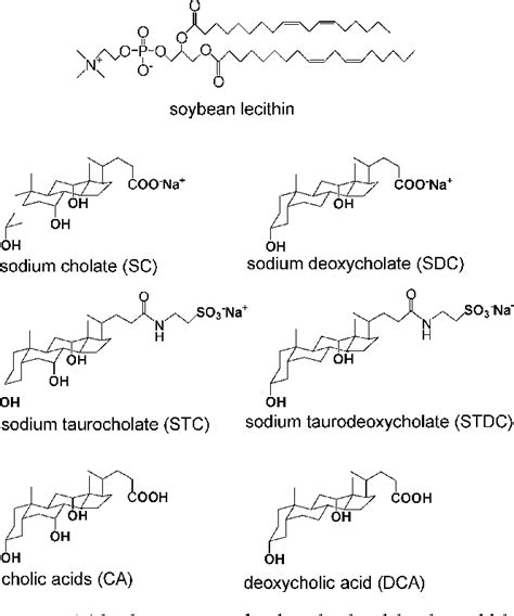 Lecithin Structure