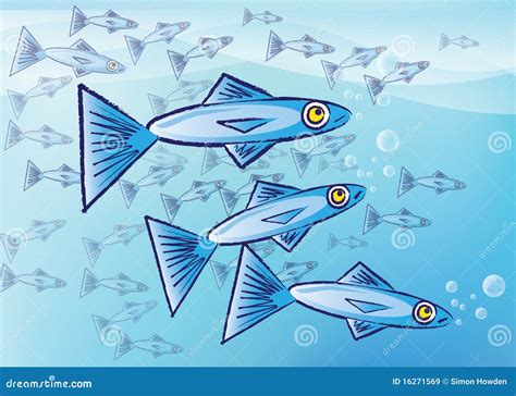 Sardines Stock Illustration Illustration Of Fish Comic 16271569