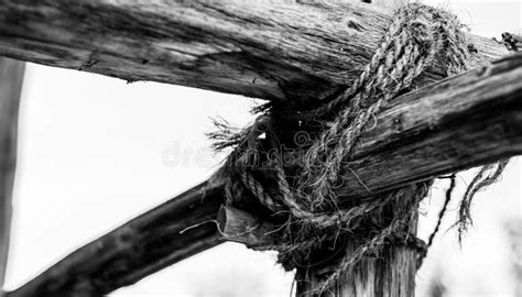Tied Woods Stock Photos Free Royalty Free Stock Photos From Dreamstime