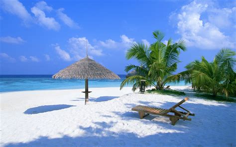 Beautiful Beach Sceneries