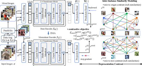 Figure 3 From Inter Instance Similarity Modeling For Contrastive