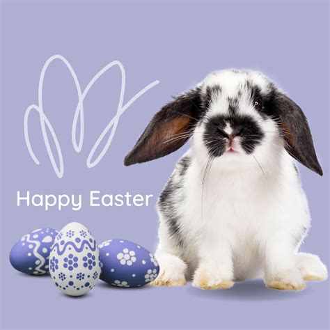 Happy Easter Sunday 2024 Top 150 Wishes Messages And Quotes To Share