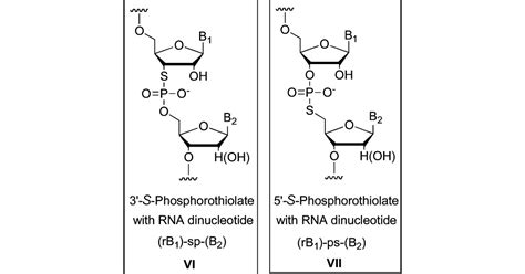 Dinucleotide Structure