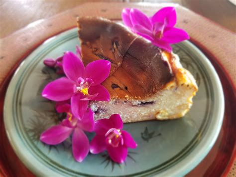 สุนทรียะในการหม่ำชีสเค็ก สวนดอกเก็กฮวยอินทรีย์ บ้านลุงเคน