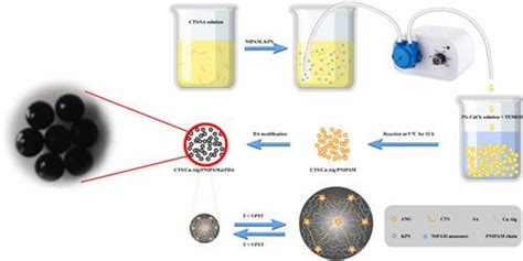 Journal Of Applied Polymer