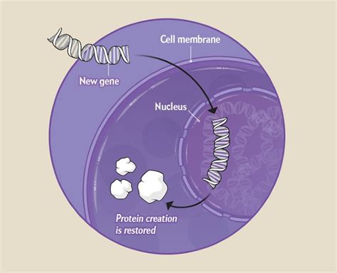 The Definition Of Gene Therapy Has Changed