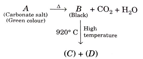 Select The Correct Statements Sarthaks Econnect Largest Online Education Community