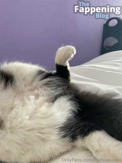 Melowoowo Nude Leaks Photo 25 Thefappening