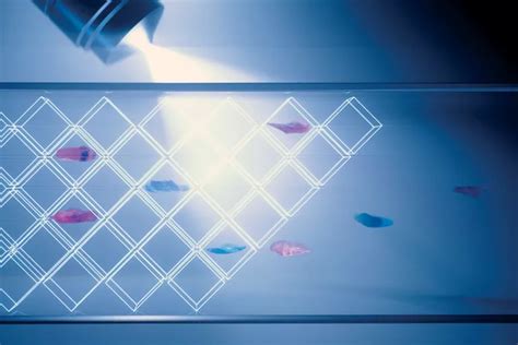 Genius™ Digital Imager Hologic