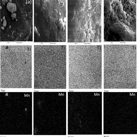sem micrograph and ti and mn elemental mapping of a β mno2 tio2 b