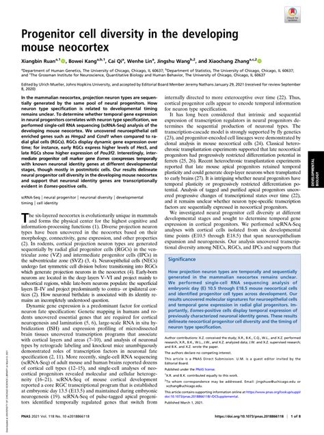 Pdf Progenitor Cell Diversity In The Developing Mouse Neocortex