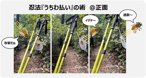 登山のアブ対策ついてくる吸血アブをよける2つの秘策を伝授