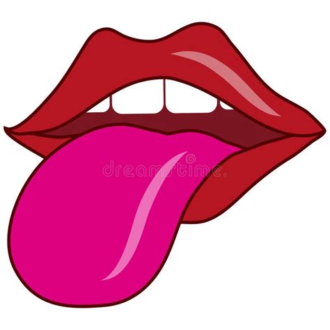 Smile Lips Mouth Teeth Stock Vector Illustration Of Anatomy 51295541