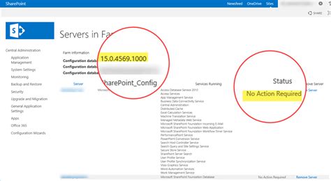Patch Level1 Sharepoint Sharks Blog