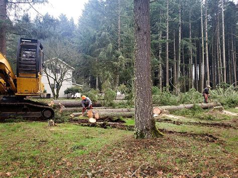 Project Portfolio Century Forest Management